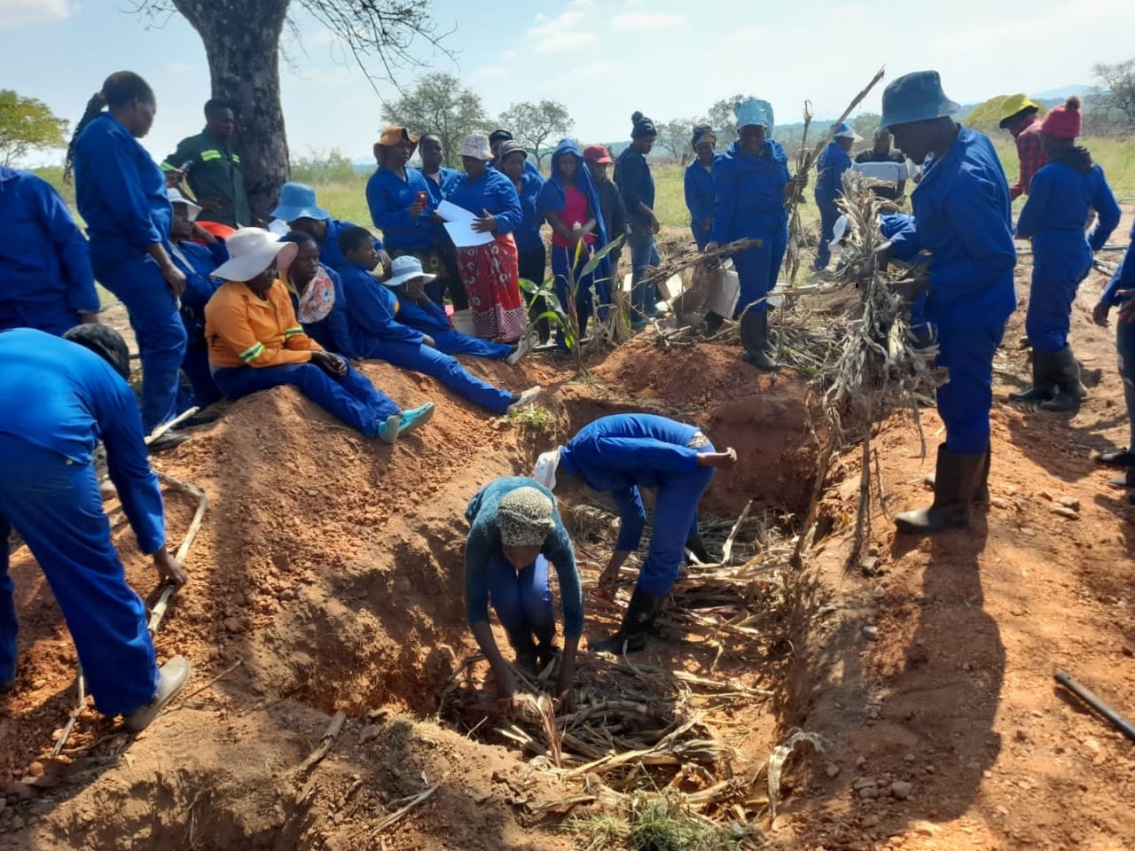 The Past may be Our Future – TCOE – Trust for Community Outreach and ...