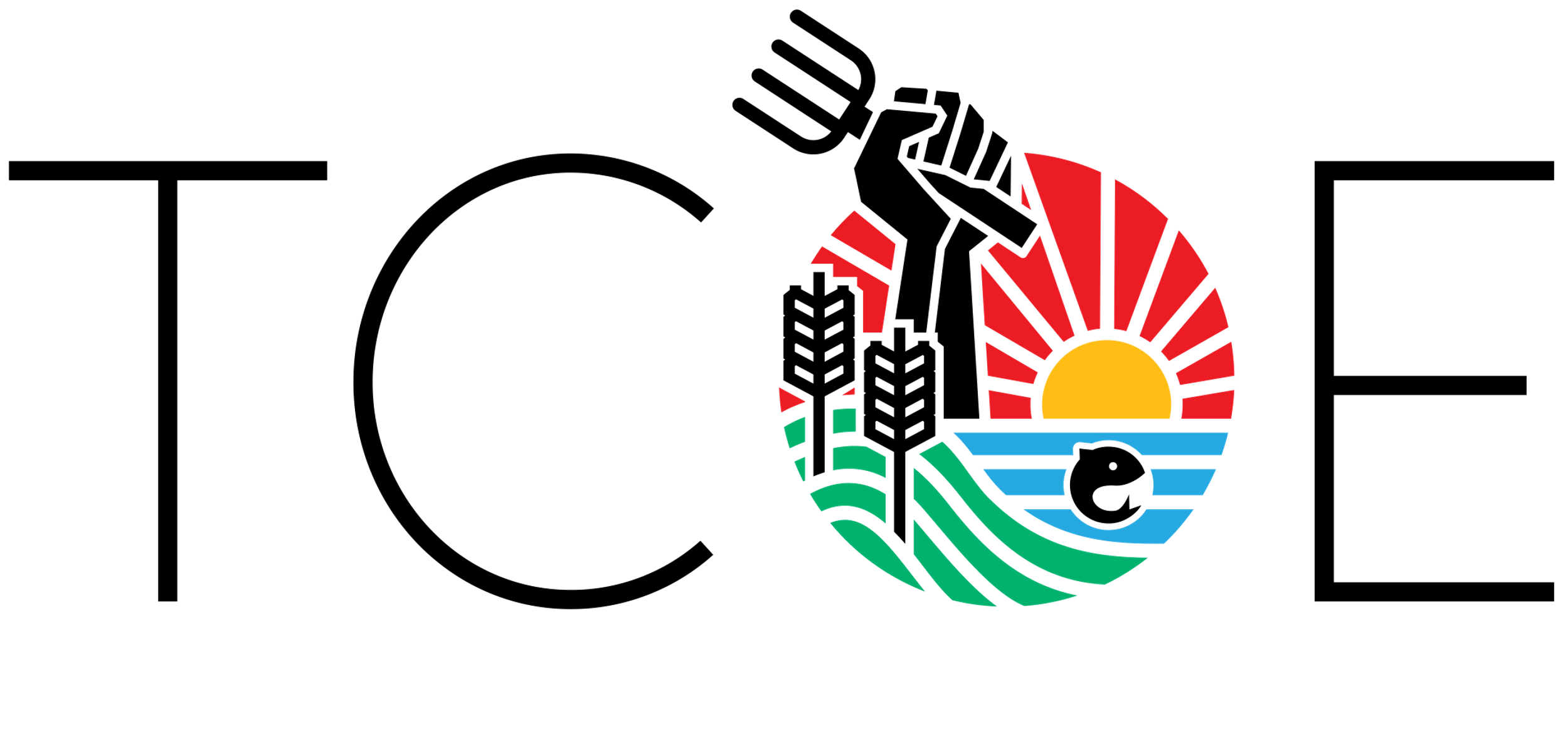 30 YEARS OF UNFULFILLED PROMISES MUST END NOW – TCOE – Trust for ...